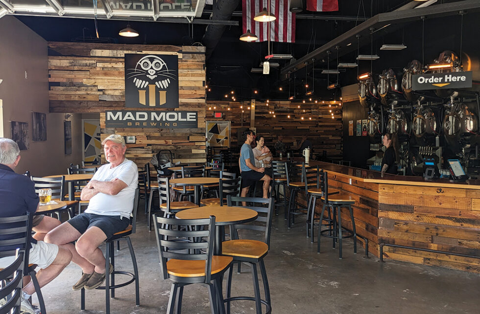 Wilmington Ale Trail - Mad Mole Brewing